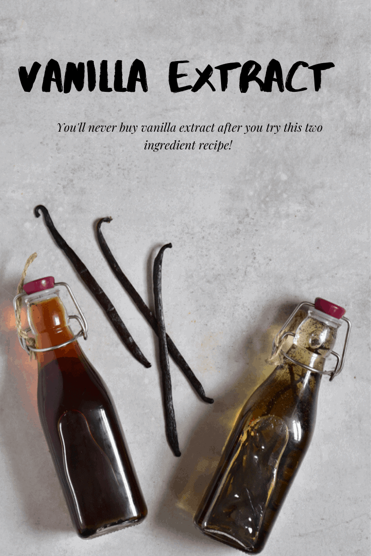 Two Ingredient simple DIY Vanilla Extract - Alphafoodie