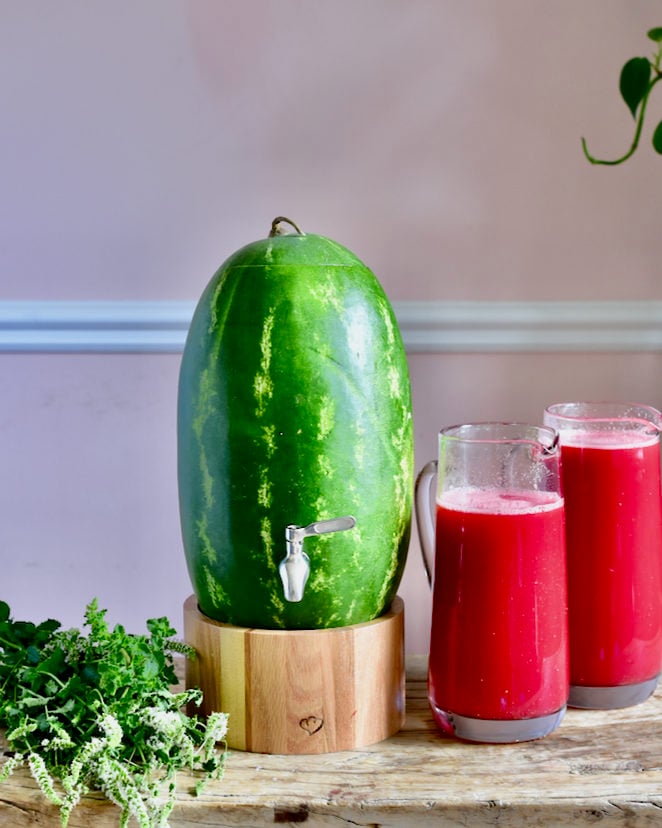 Watermelon Keg/ Dispenser In 10 Minutes - Alphafoodie