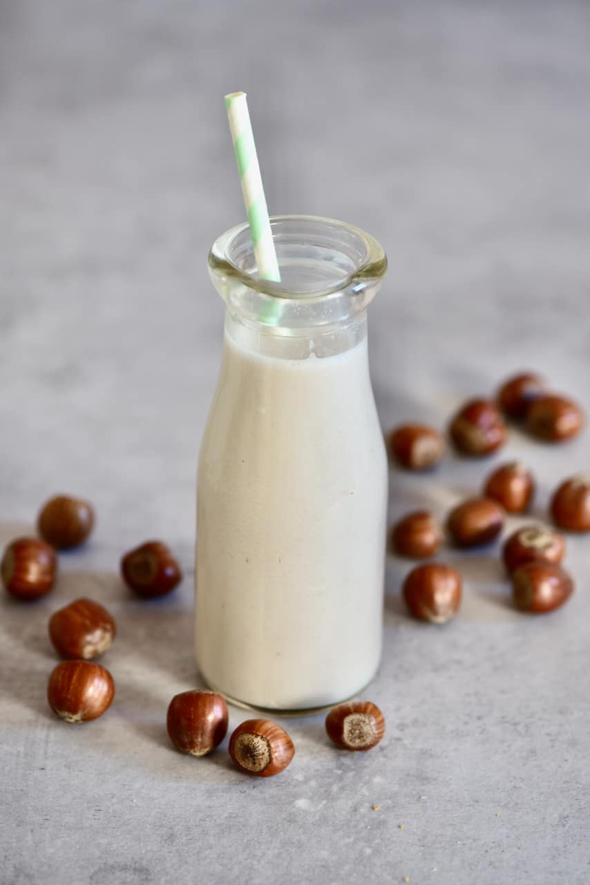 Simple DIY Homemade Hazelnut Milk ( Dairy-Free, GF) - Alphafoodie