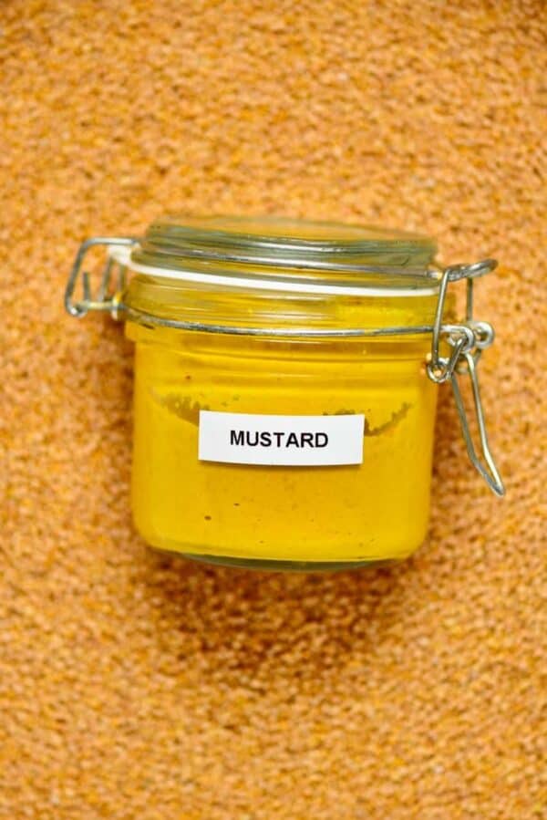 How To Make Mustard: Homemade Mustard DIY - Alphafoodie
