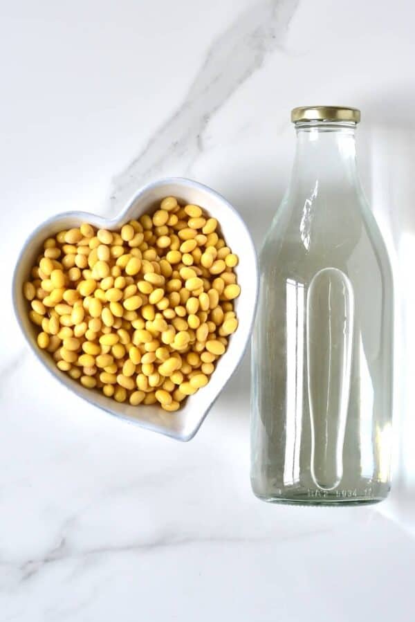How To Make Tofu at Home - Two Simple Methods - Alphafoodie