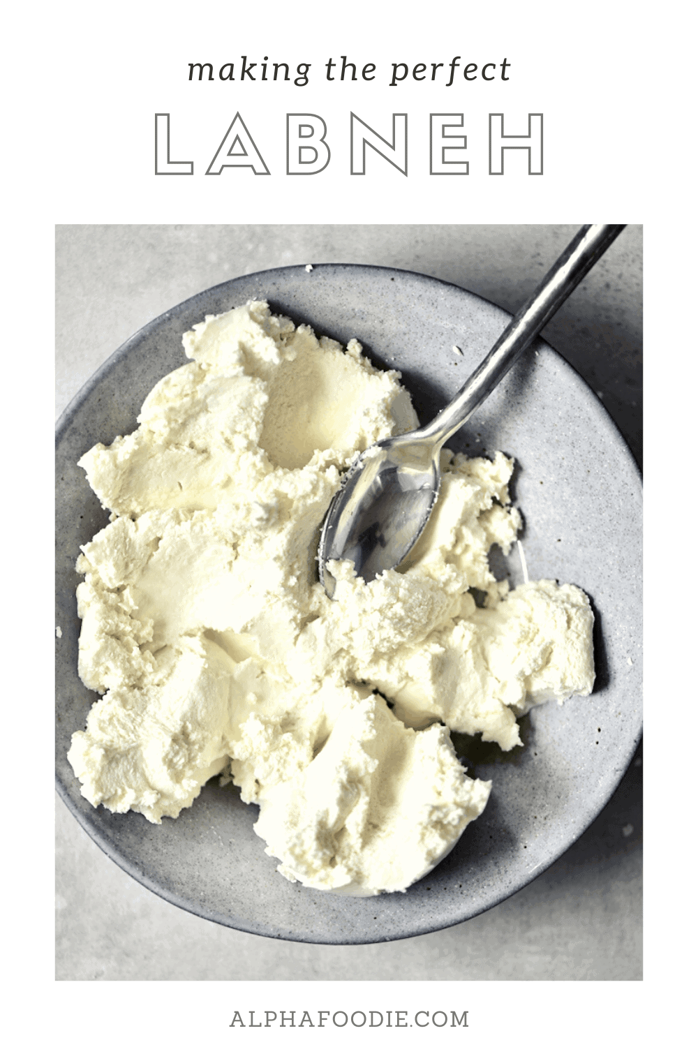 Homemade Labneh Recipe - Alphafoodie