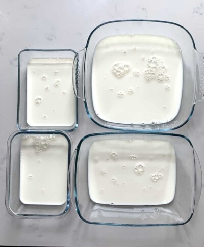How To Make Powdered Milk At Home - Alphafoodie