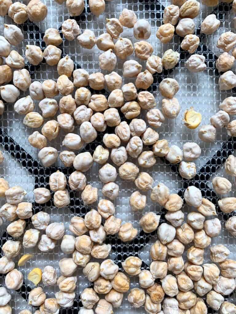 How To Make Chickpea Flour (TWO Methods!)- Alphafoodie