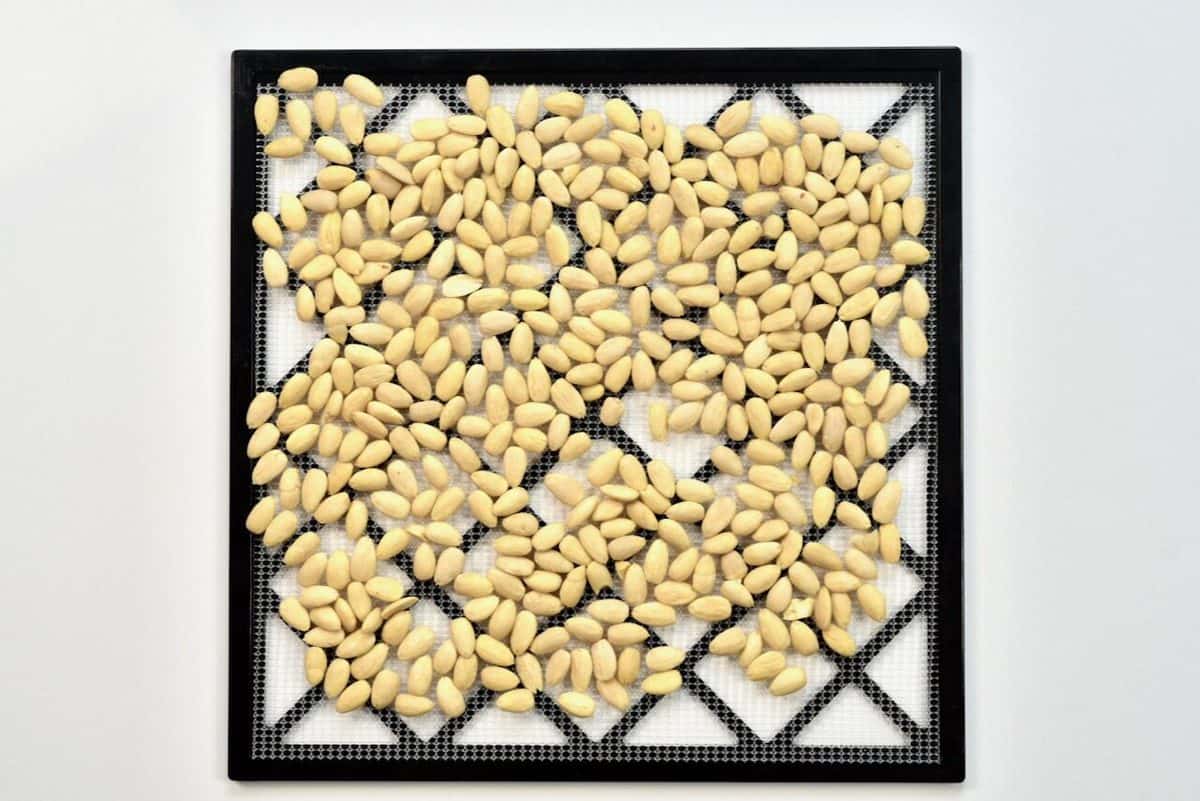 How To Blanch Almonds In Five Minutes - Alphafoodie