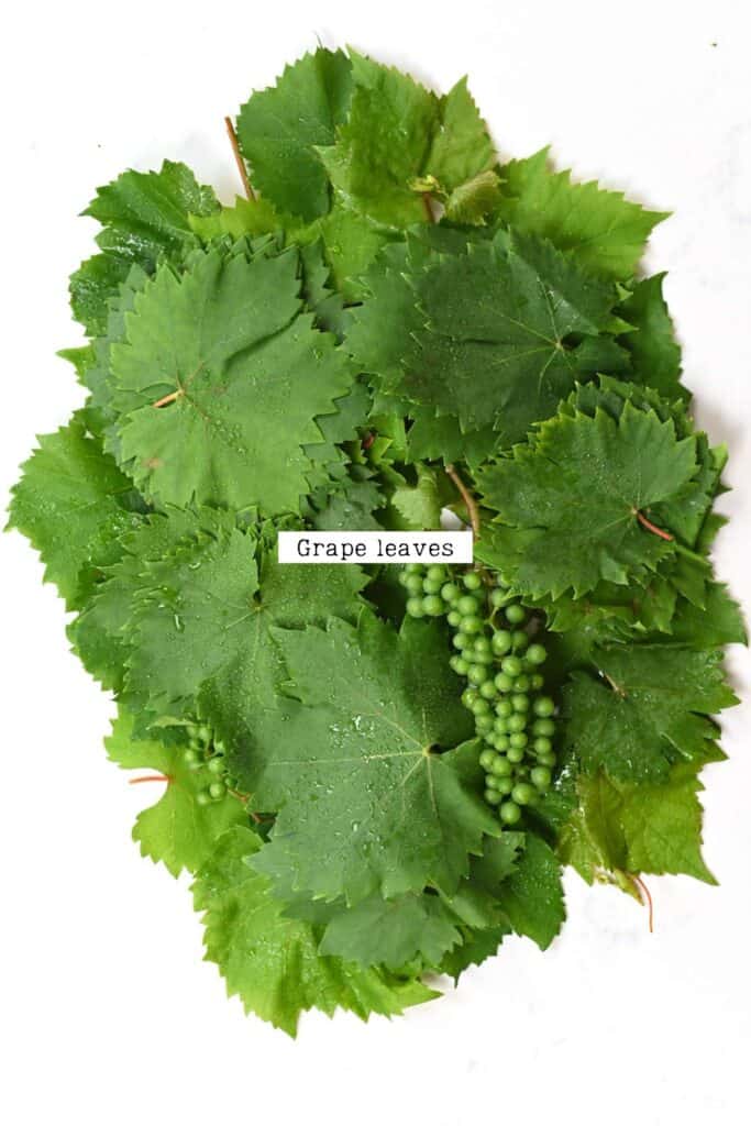 Vegetarian Stuffed Grape Leaves (Dolmas) - Alphafoodie