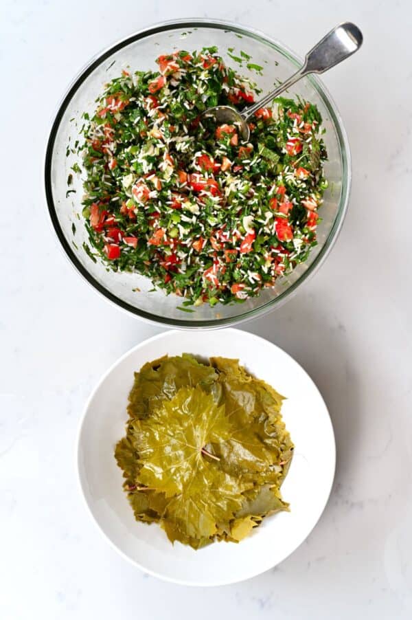 Vegetarian Stuffed Grape Leaves (Dolmas) - Alphafoodie