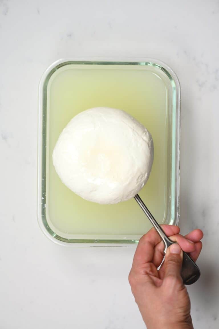 How To Make Mozzarella Cheese - Alphafoodie