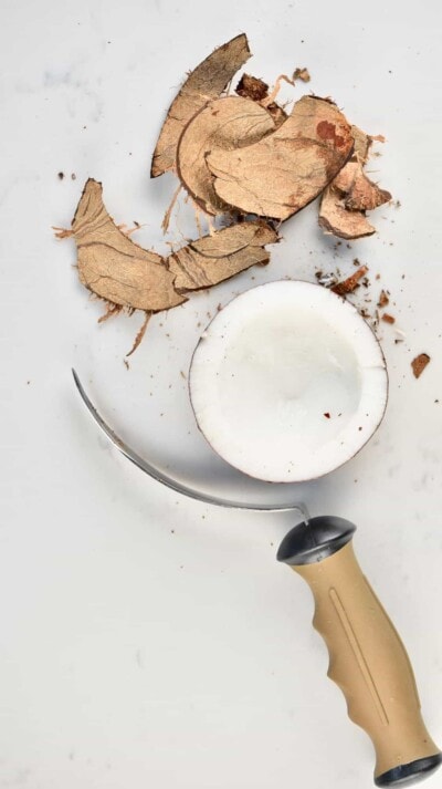 How To Make Coconut Flakes (Coconut Chips) - Alphafoodie