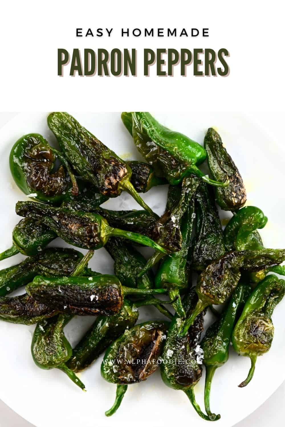 Fried Padrón Peppers (Blistered Mini Peppers) - Alphafoodie
