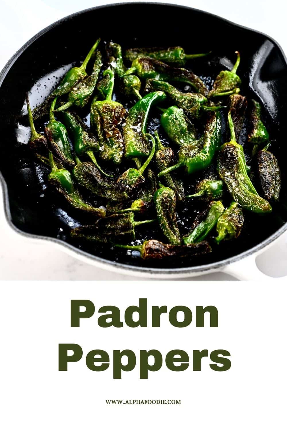 Fried Padrón Peppers (Blistered Mini Peppers) - Alphafoodie
