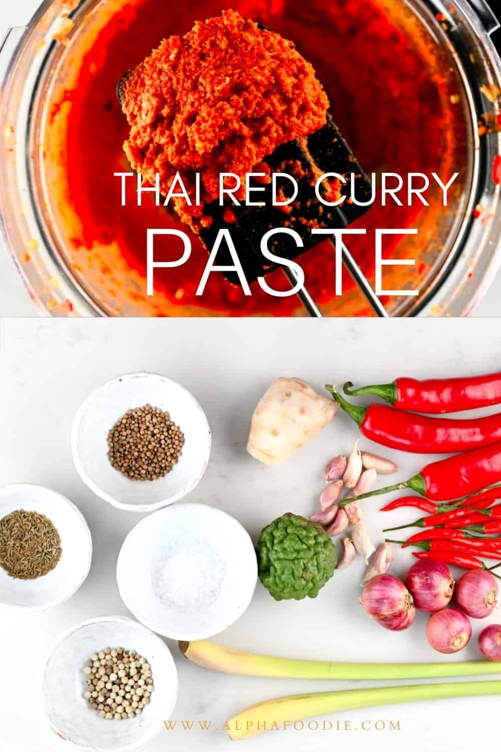 Easy Thai Red Curry Paste (5-Minute) - Alphafoodie