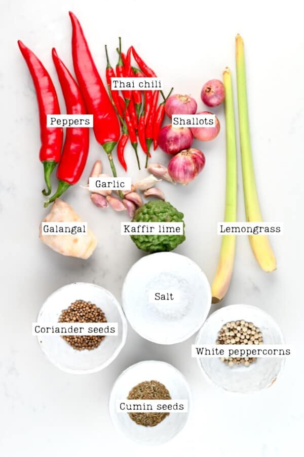 Easy Thai Red Curry Paste (5-Minute) - Alphafoodie