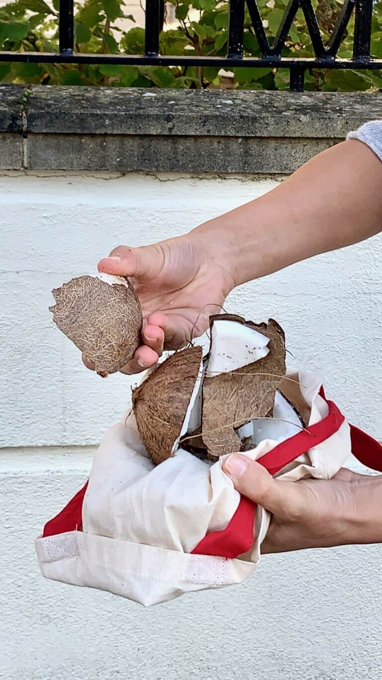 How To Open A Coconut (4 Easy Methods) - Alphafoodie