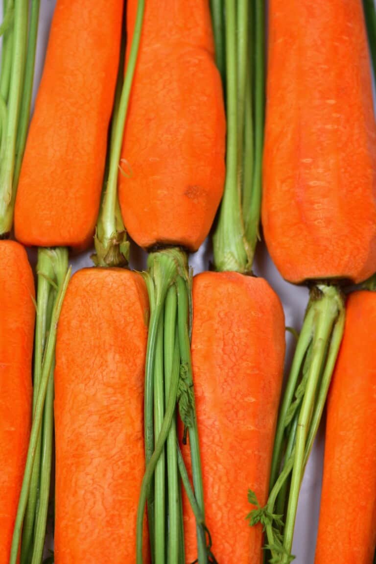 How to Juice Carrots (1-Ingredient Carrot Juice Recipe) - Alphafoodie