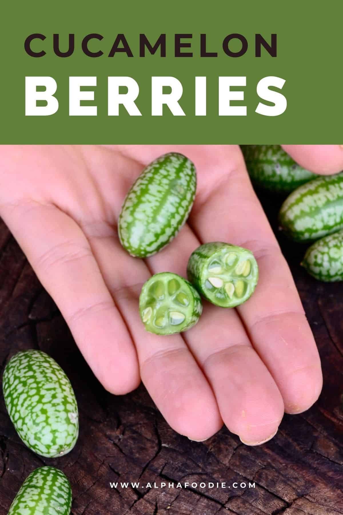 A Quick Guide To Cucamelon Berries - Alphafoodie