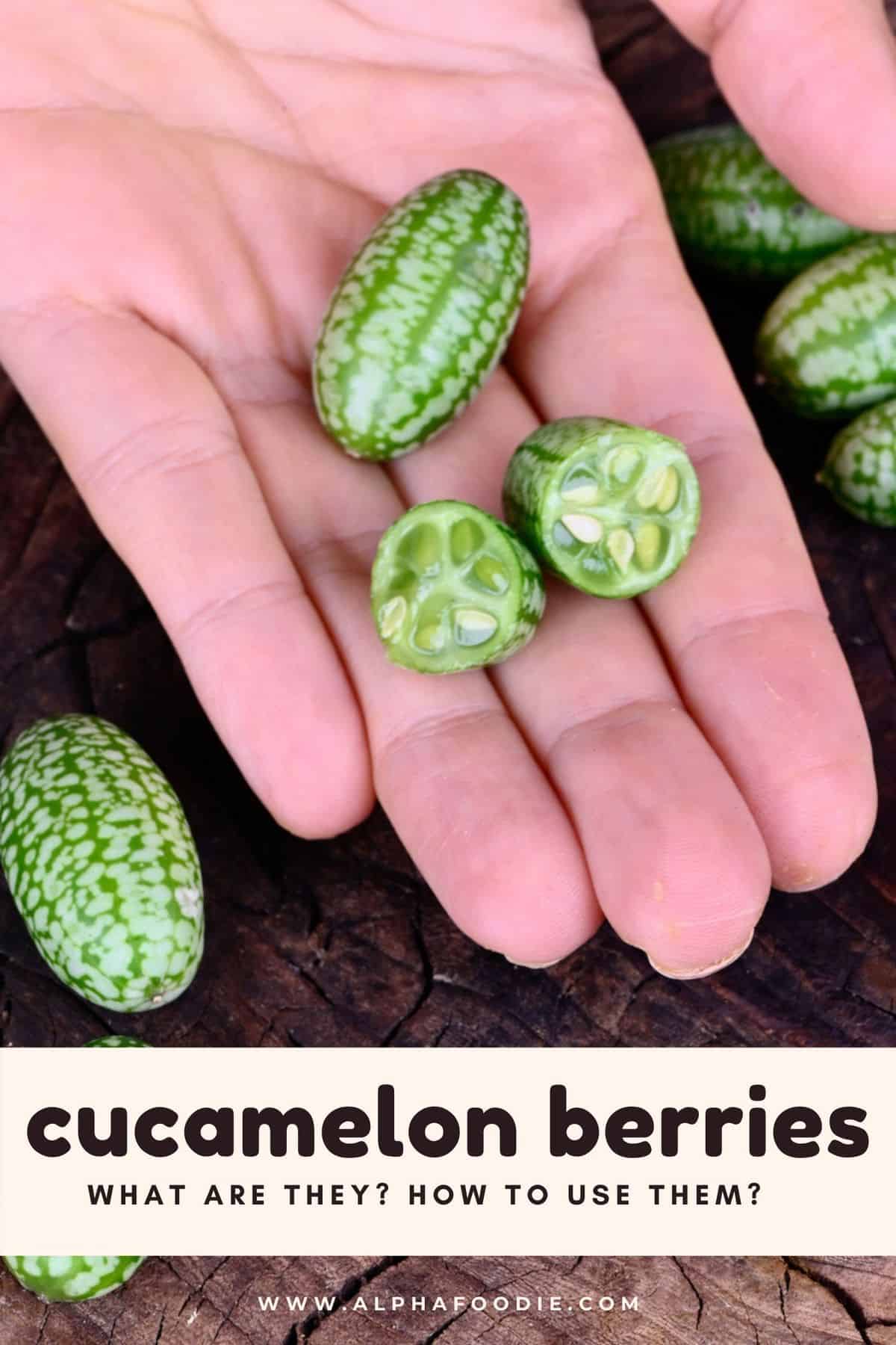 A Quick Guide To Cucamelon Berries - Alphafoodie