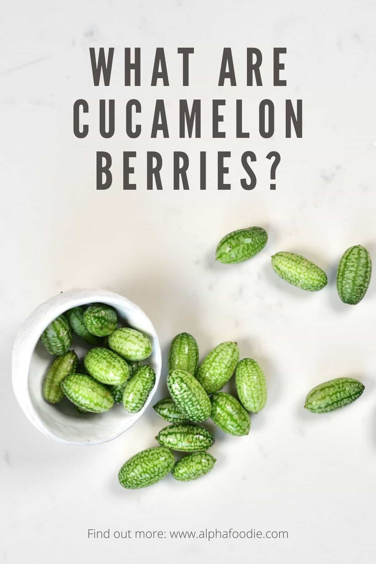 A Quick Guide To Cucamelon Berries - Alphafoodie