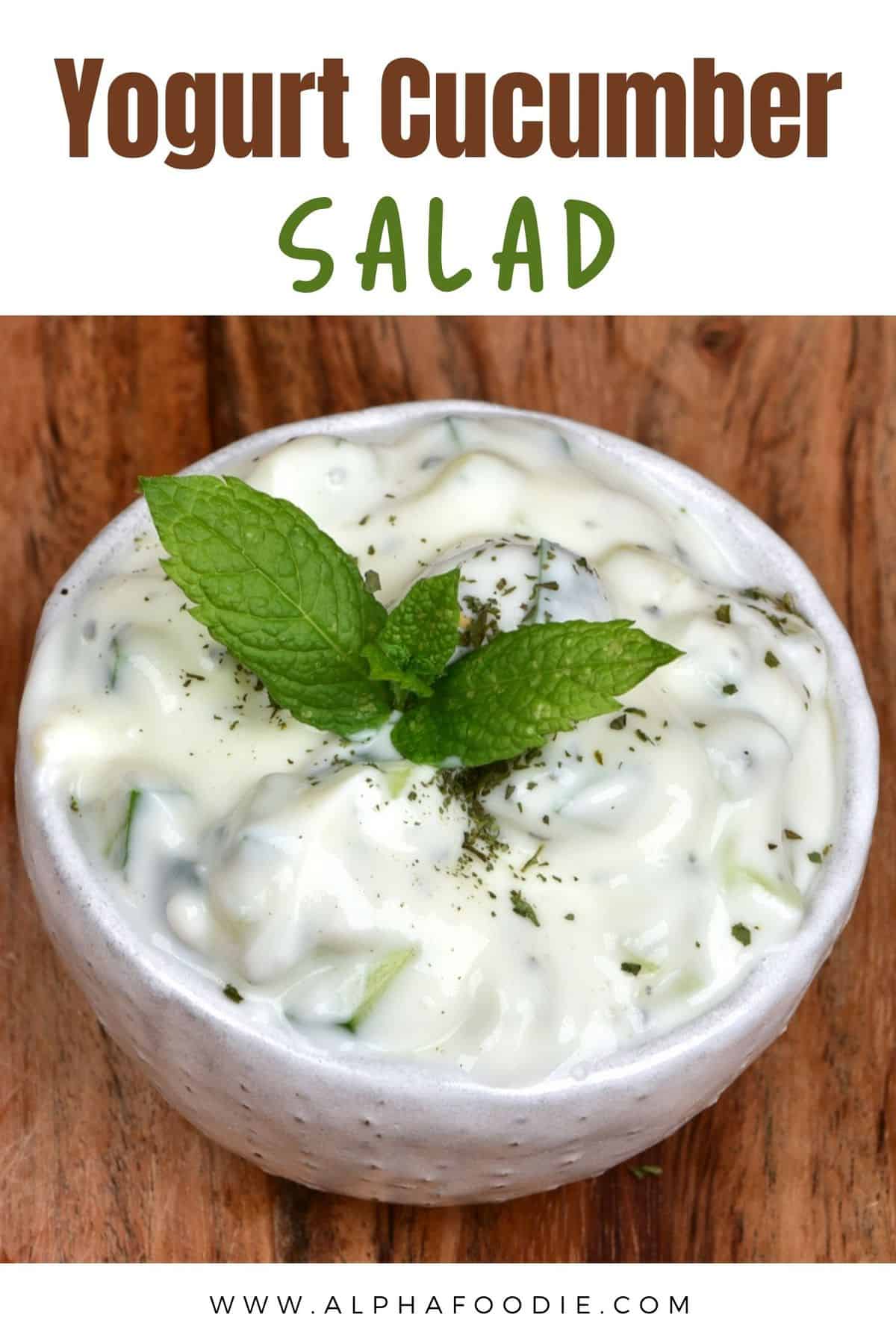Lebanese Creamy Cucumber Yogurt Salad (Kh’yar bi laban) - Alphafoodie