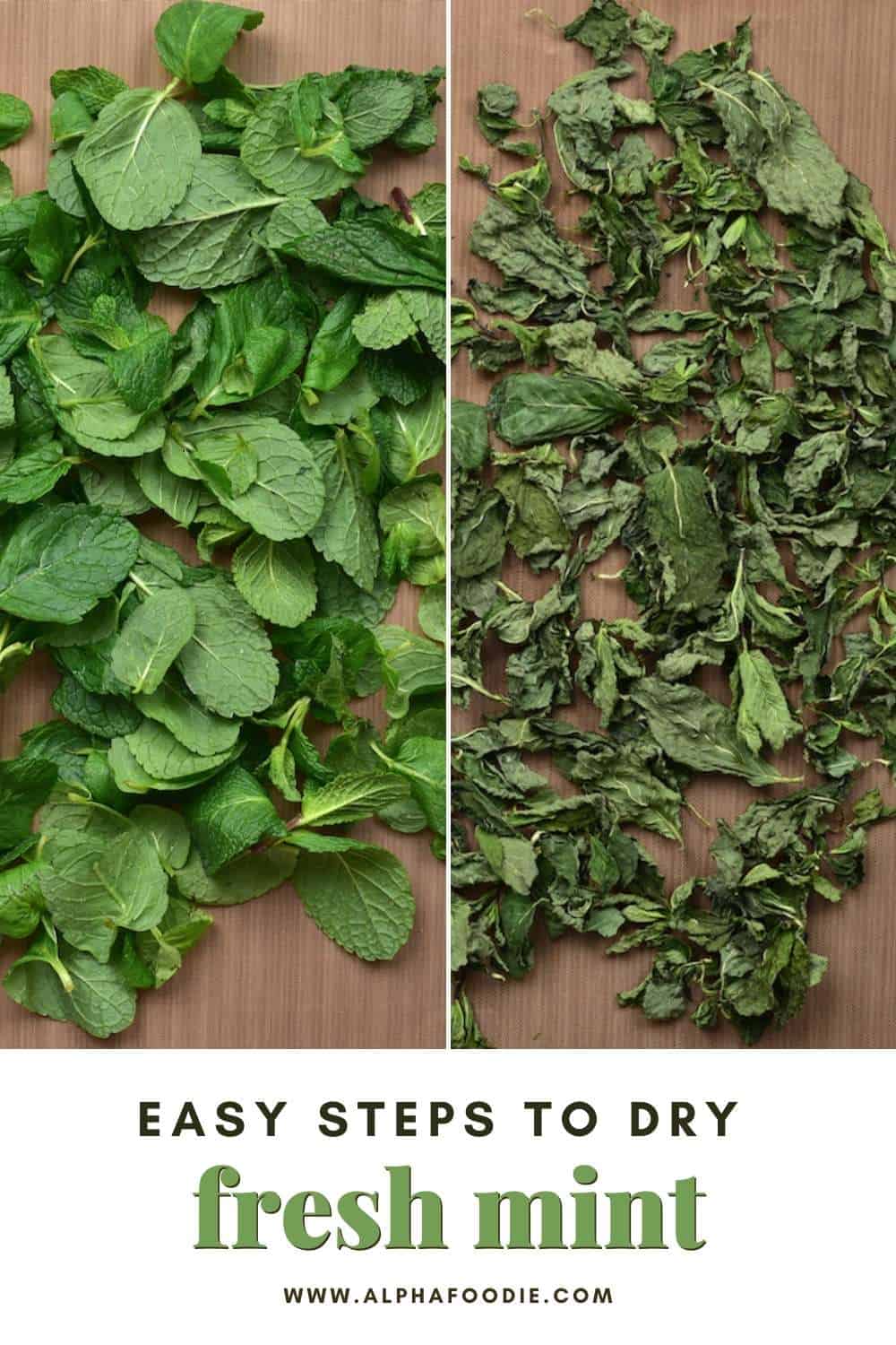 How To Dry Mint (3 Methods for Dried Mint) - Alphafoodie