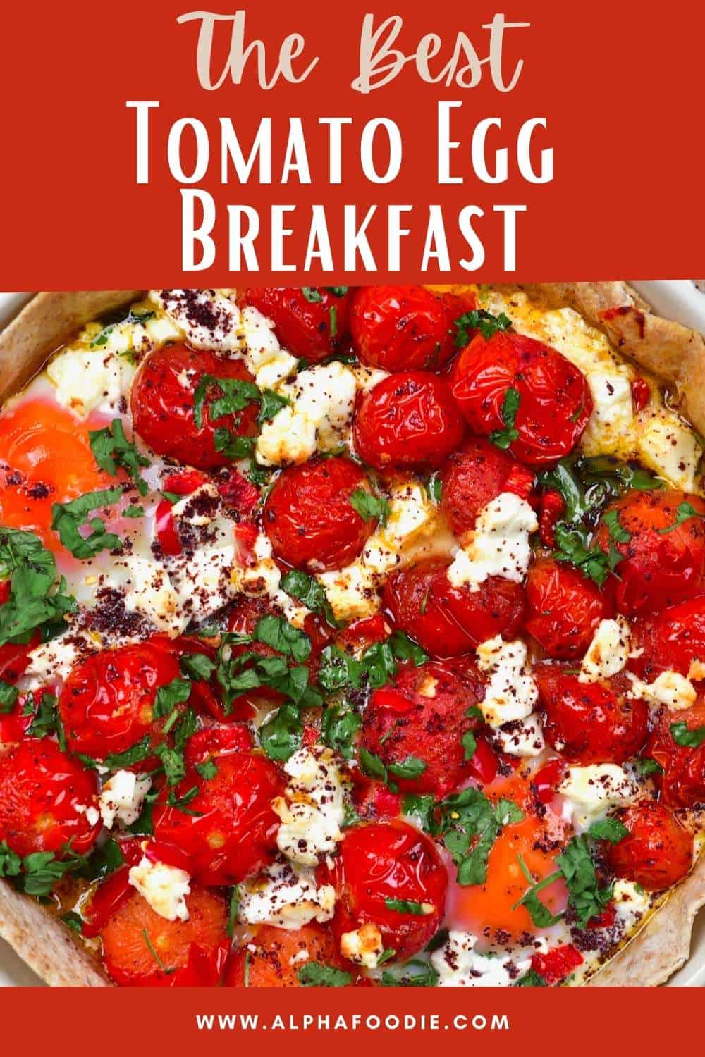 Tomato Egg Breakfast Tortilla Quiche (Breakfast Quiche) - Alphafoodie