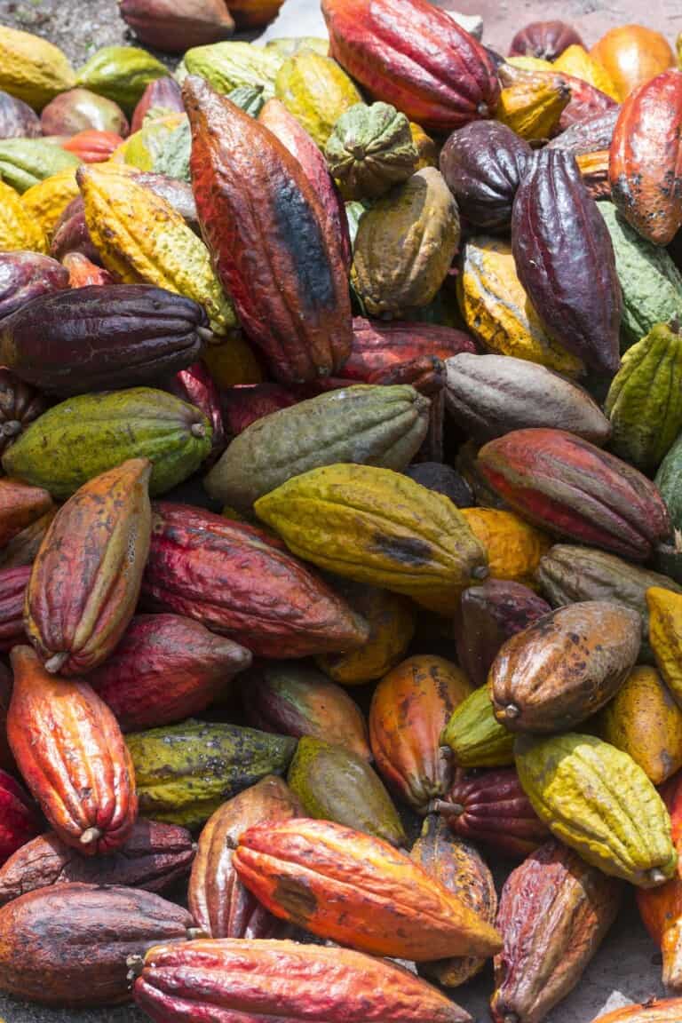 How To Make Chocolate From Cocoa Beans (Bean to Bar Chocolate)