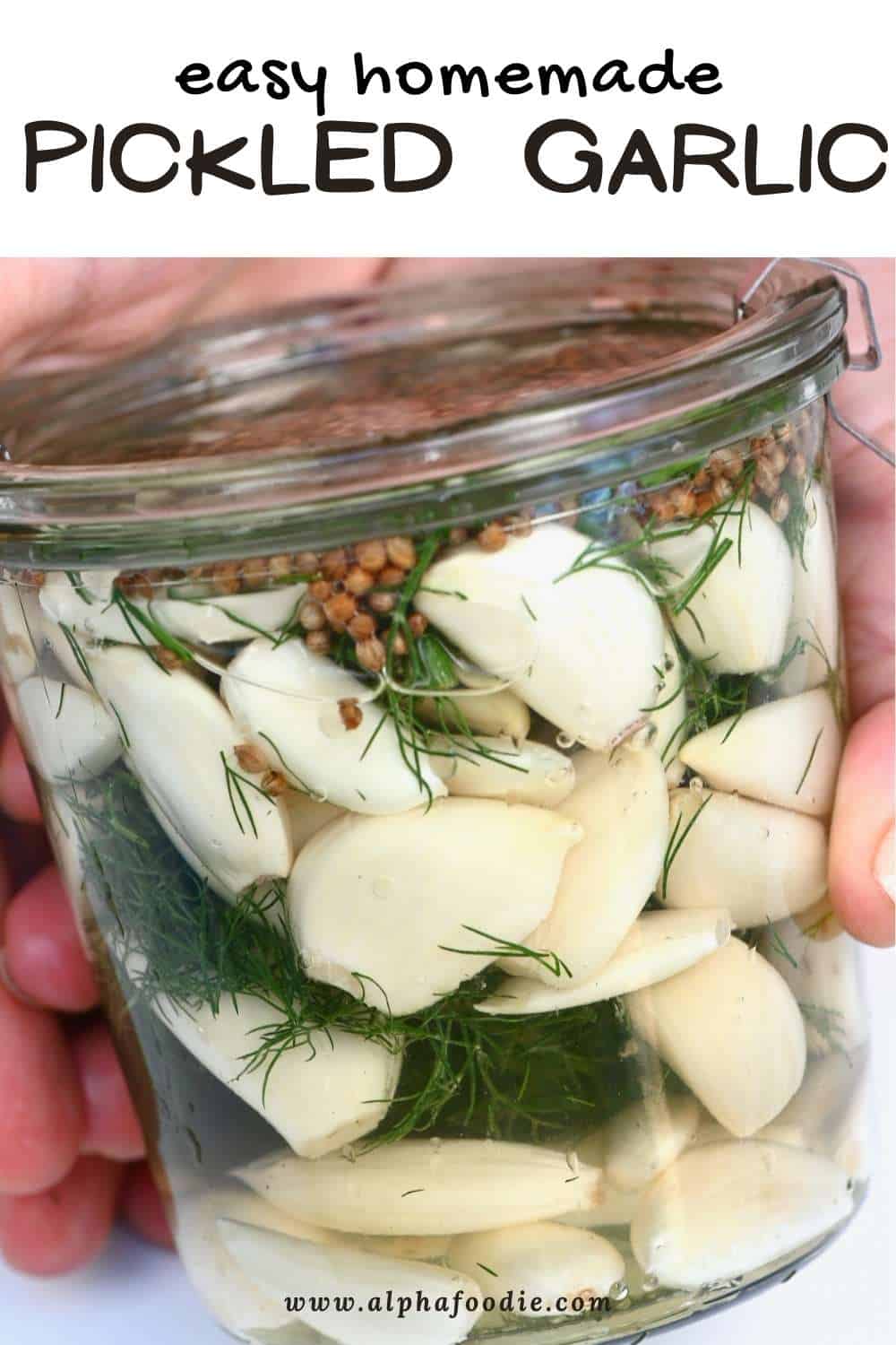 How to Make Pickled Garlic (Plain and TikTok Spicy Pickled Garlic)