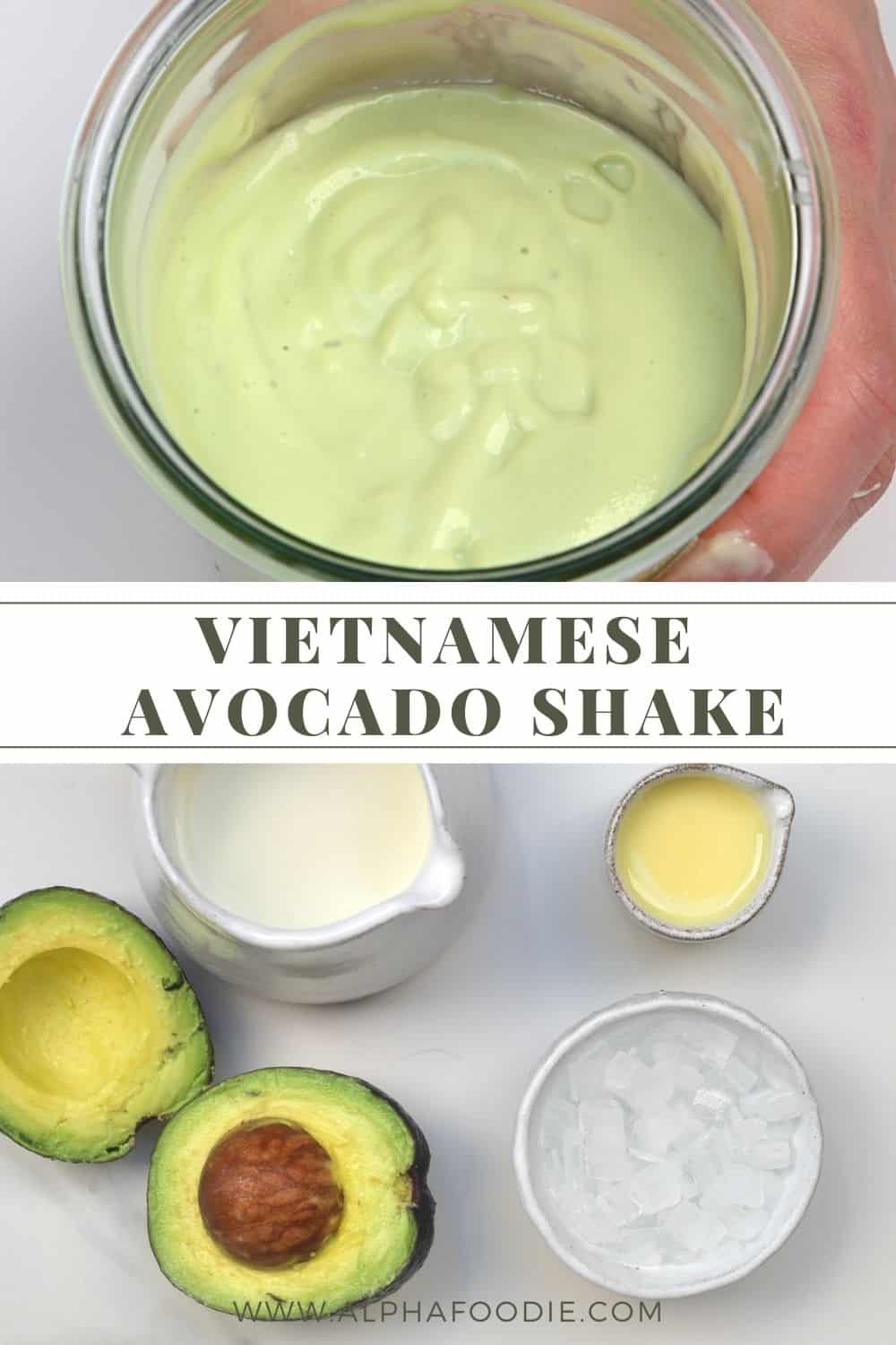 Vietnamese Avocado Shake (Sinh To Bo/ Avocado Milk) - Alphafoodie