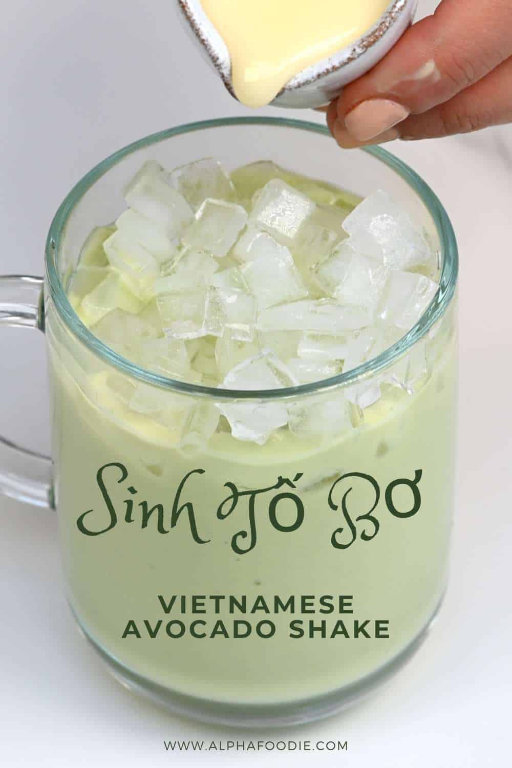 Vietnamese Avocado Shake (Sinh To Bo/ Avocado Milk) - Alphafoodie