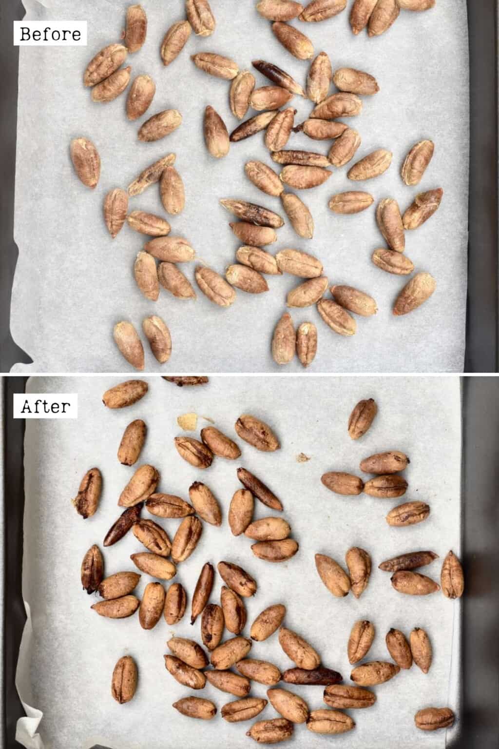 Date Seed Coffee (Caffeine-Free Coffee Alternative) - Alphafoodie