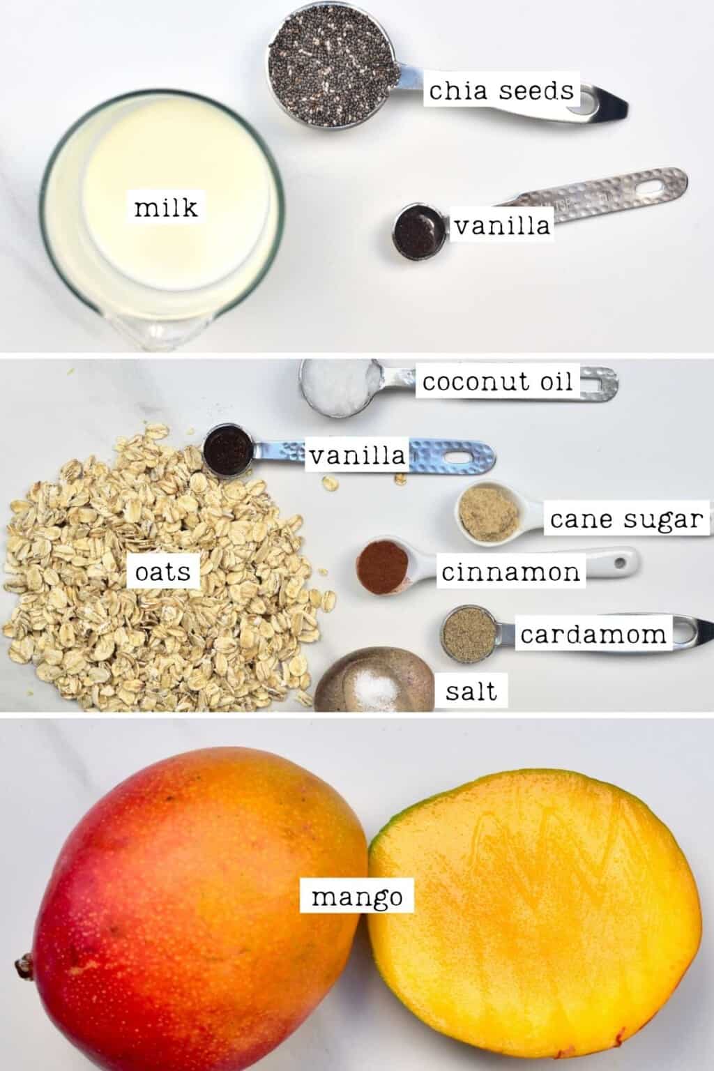 Mango Chia Pudding Bowl (with Crispy Oats and Yogurt) - Alphafoodie