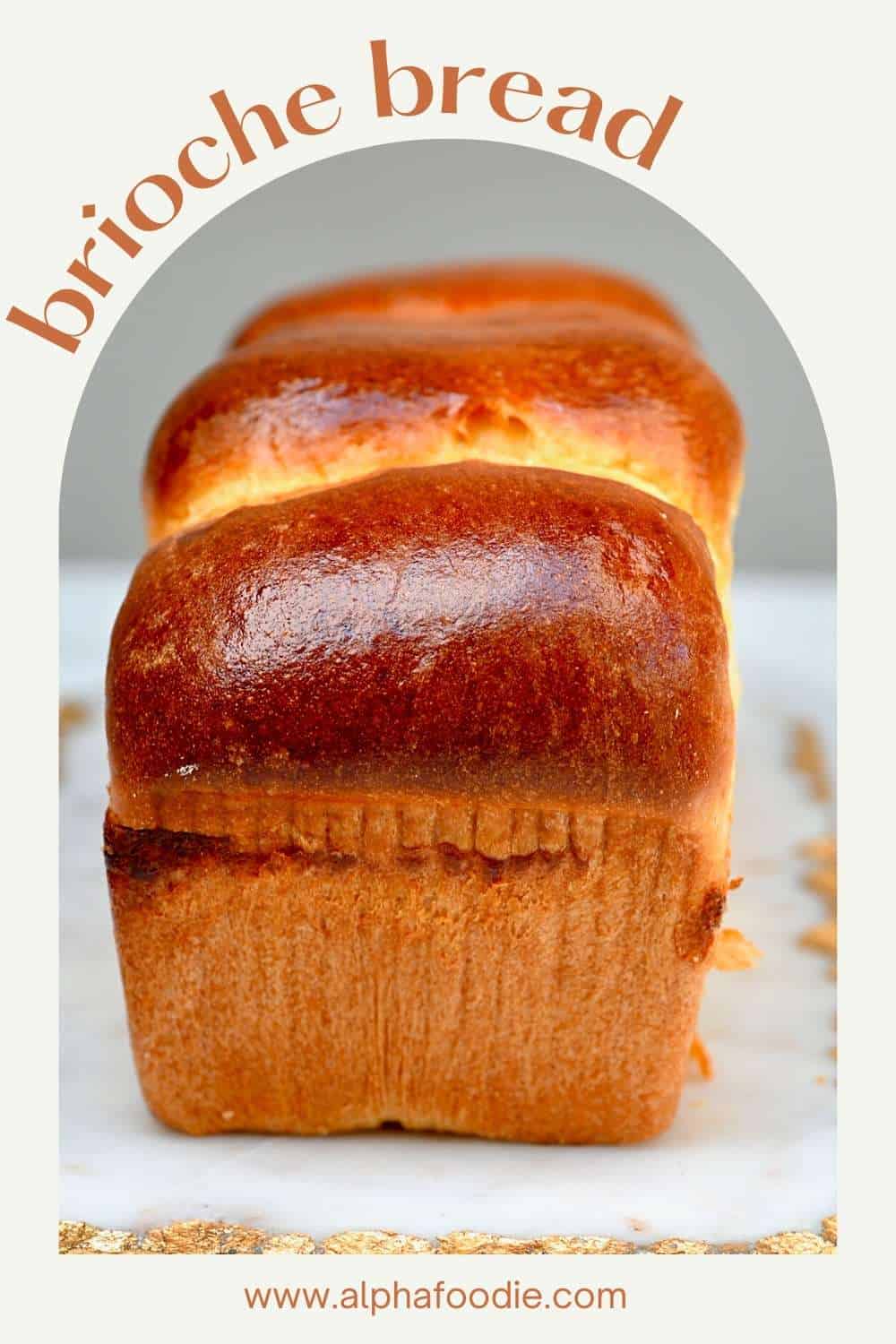Easy Homemade Brioche Bread Recipe - Alphafoodie