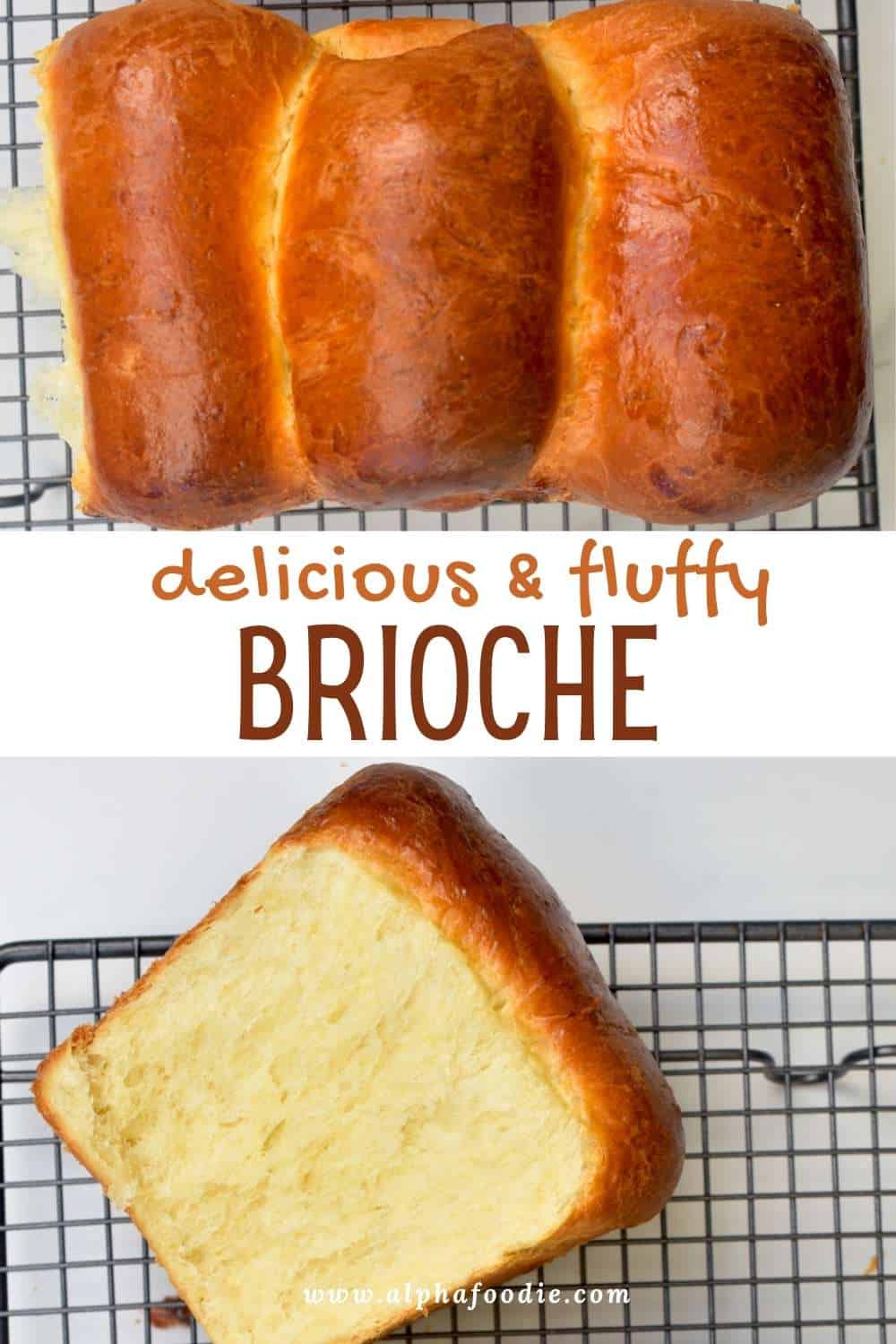 Easy Homemade Brioche Bread Recipe - Alphafoodie