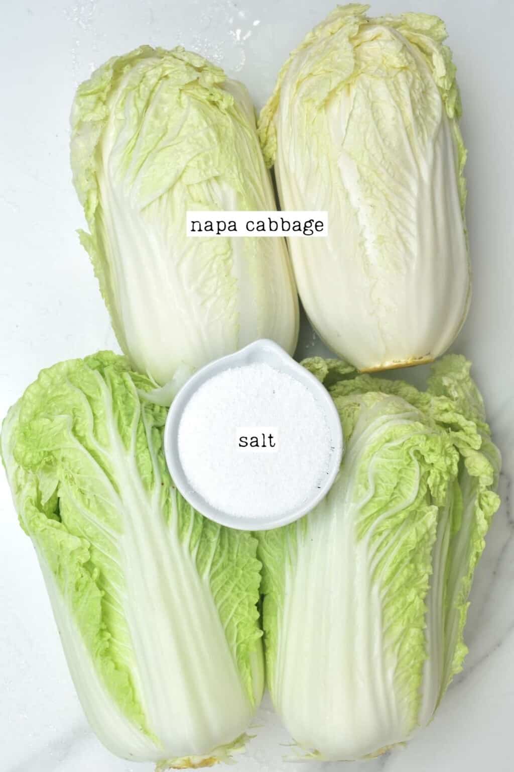 Napa Cabbage Kimchi (Korean Baechu-Kimchi) - Alphafoodie
