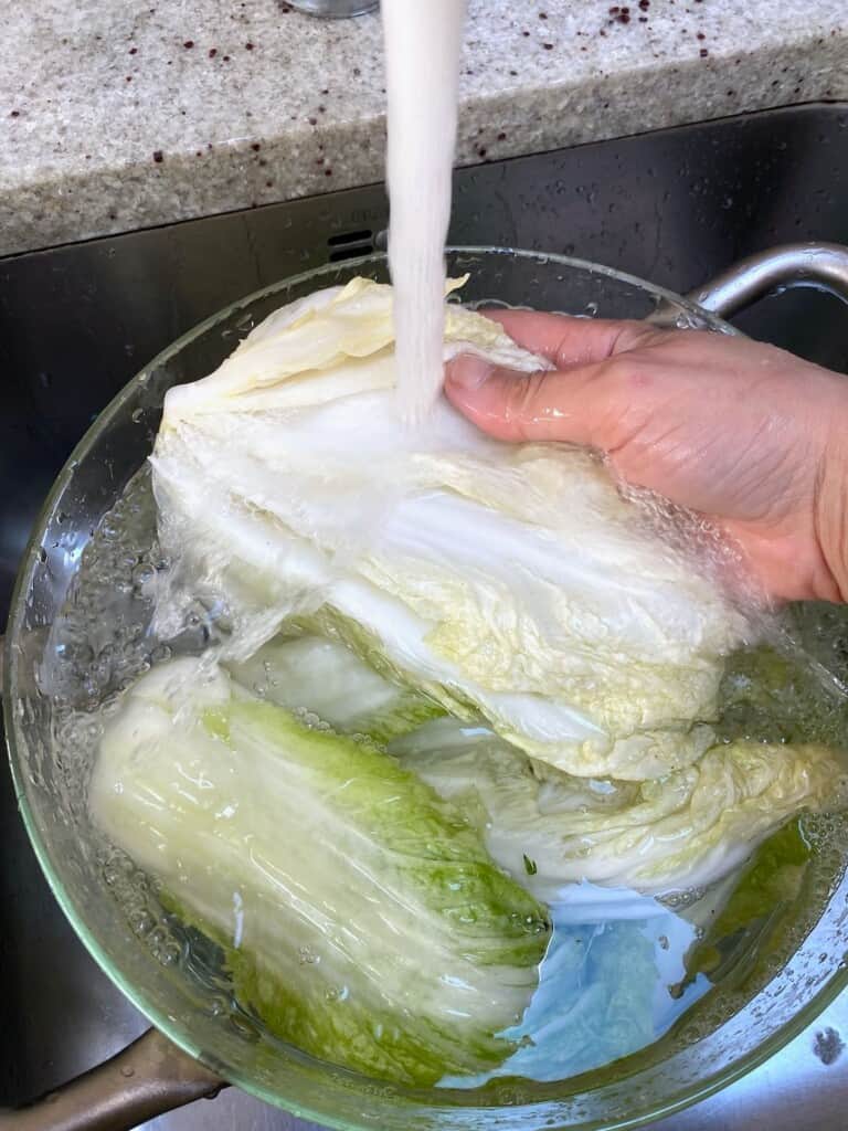 Napa Cabbage Kimchi (Korean Baechu-Kimchi) - Alphafoodie