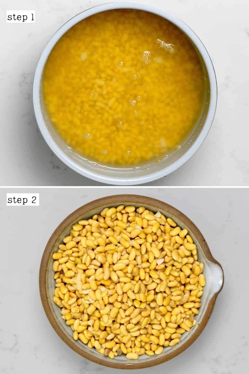 How to Make Miso Paste (Kome Miso/Shinshu Miso) - Alphafoodie