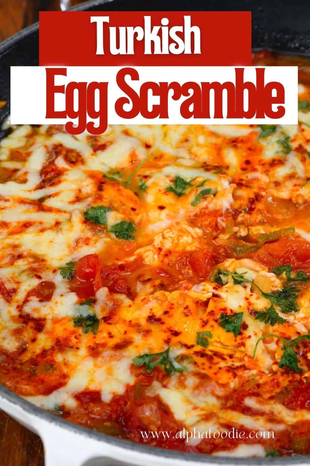 Easy Turkish Menemen (Scrambled Eggs with Tomatoes) - Alphafoodie