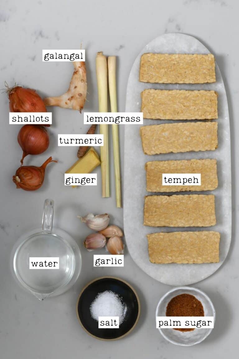Simple Indonesian Fried Tempeh (Tempe Goreng) - Alphafoodie