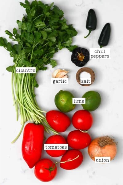 The Best Roasted Tomato Salsa Recipe - Alphafoodie