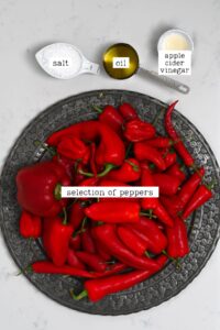How to Make Red Chili Paste (+ Water Bath Can It) - Alphafoodie