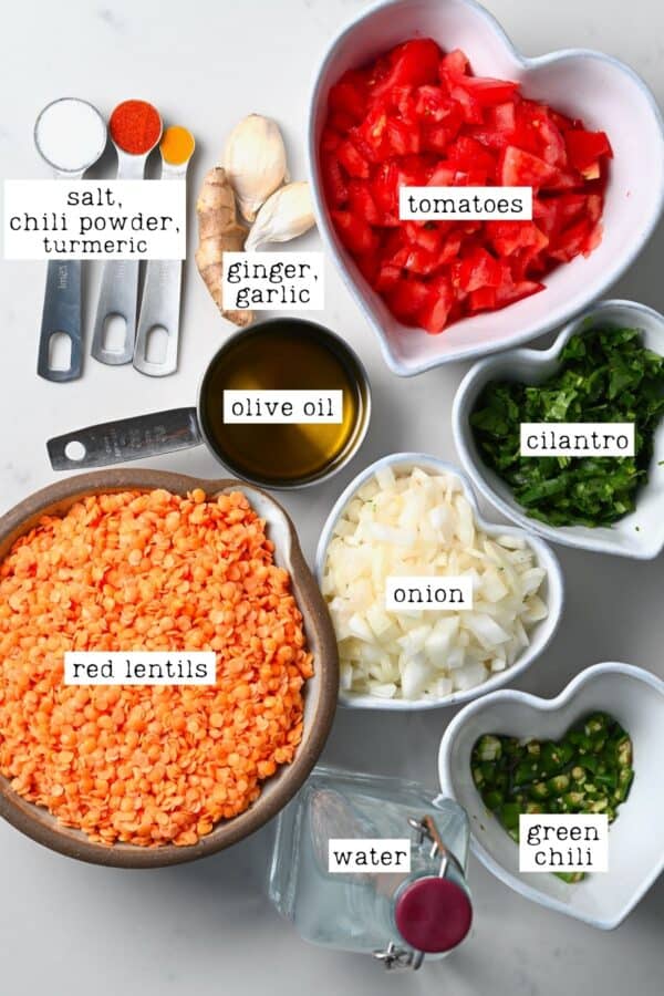 Easy Red Lentil Dal (Tarka Dal | Indian Lentil Dish) - Alphafoodie