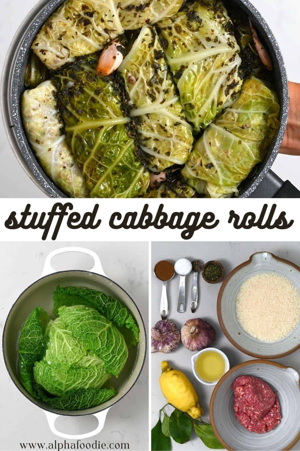 Lebanese Stuffed Cabbage Rolls (Malfouf) - Alphafoodie