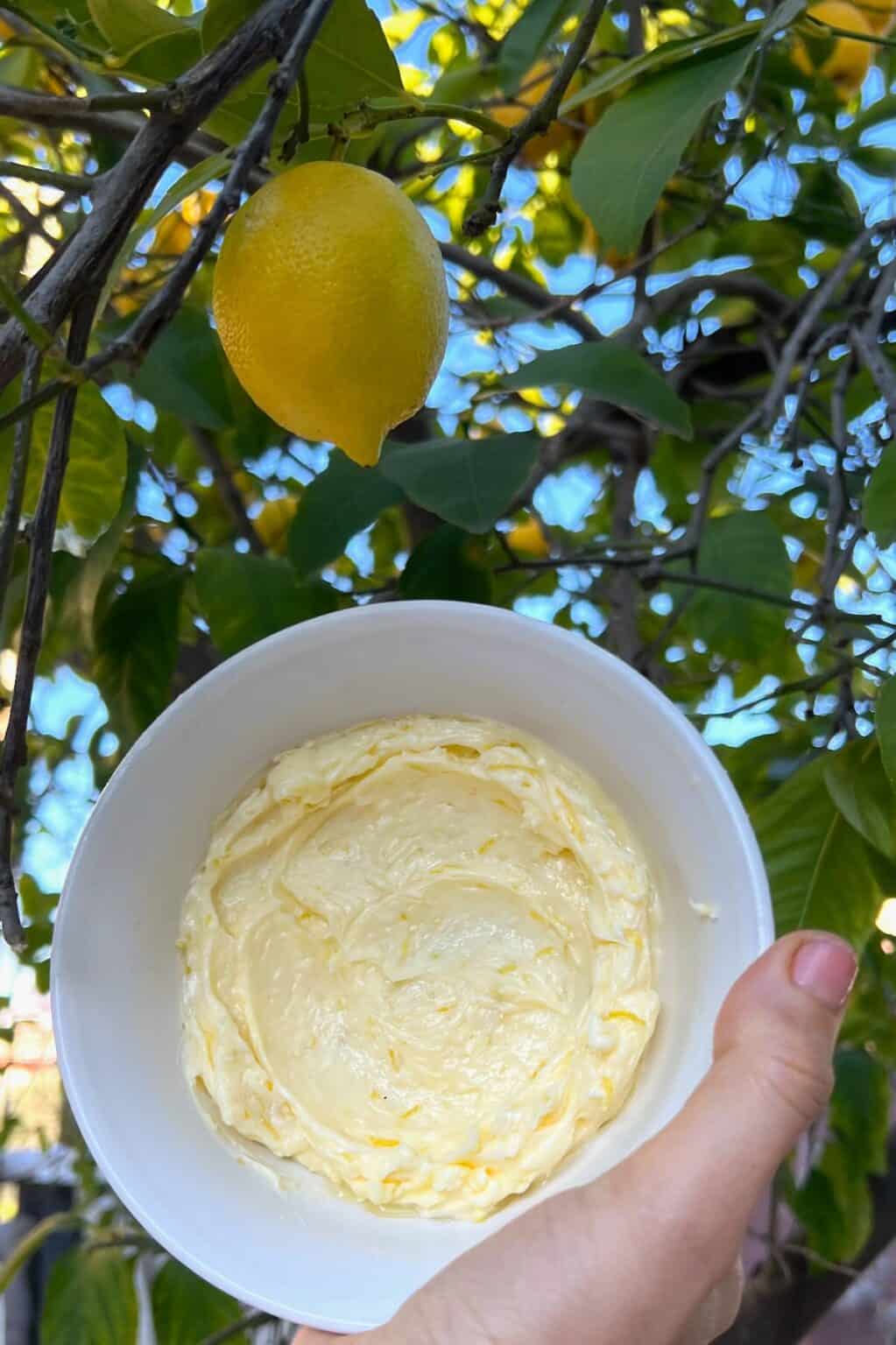 Easy Lemon Butter (+ Flavor Variations) - Alphafoodie