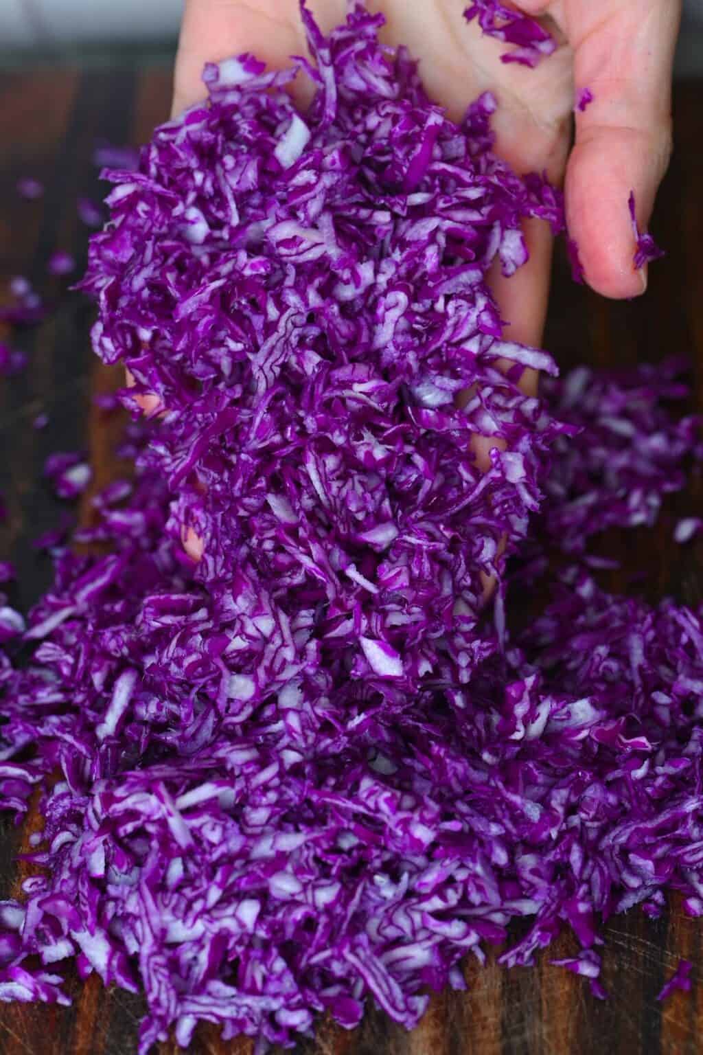 Rainbow Chopped Veggie Salad (Red Cabbage Salad) - Alphafoodie