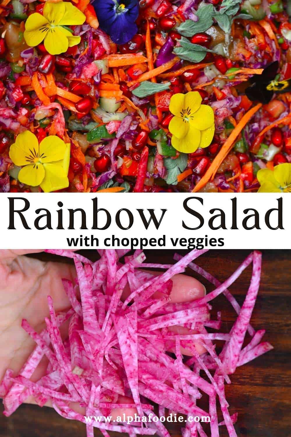 Rainbow Chopped Veggie Salad (Red Cabbage Salad) - Alphafoodie