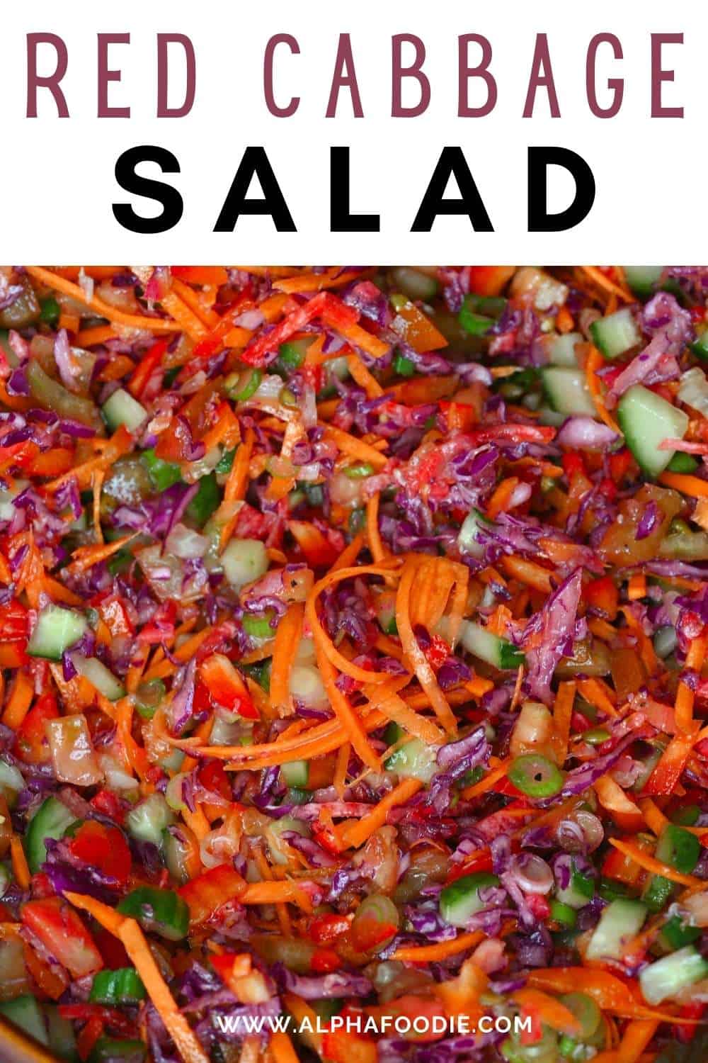 Rainbow Chopped Veggie Salad (Red Cabbage Salad) - Alphafoodie