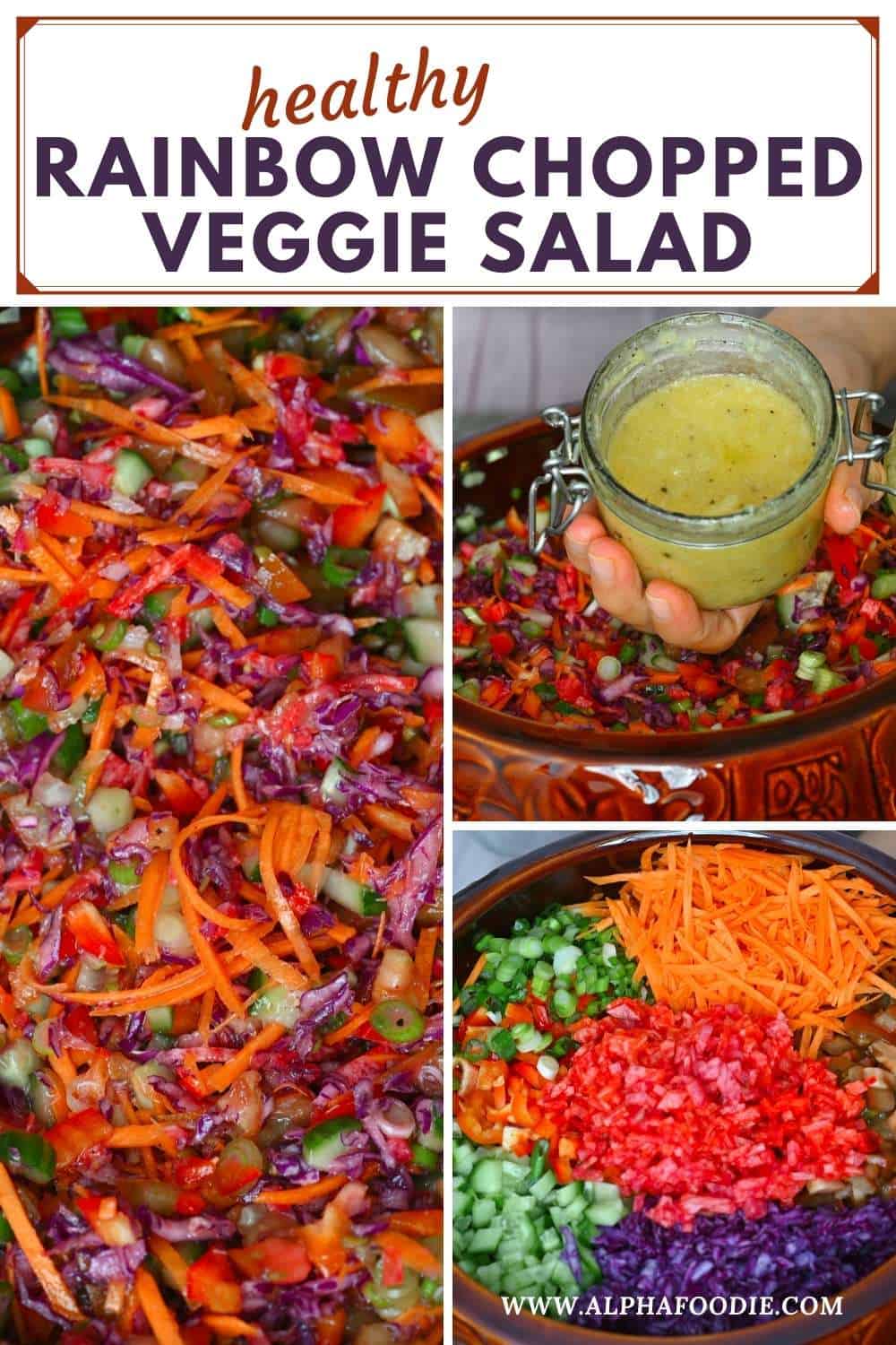 Rainbow Chopped Veggie Salad (Red Cabbage Salad) - Alphafoodie