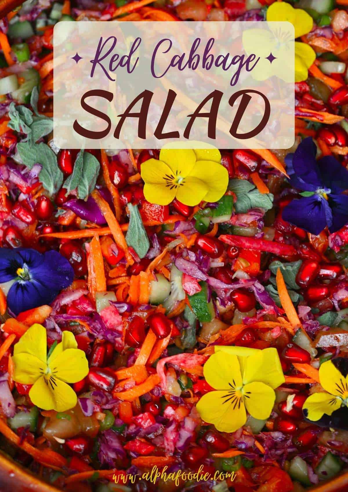 Rainbow Chopped Veggie Salad (Red Cabbage Salad) - Alphafoodie