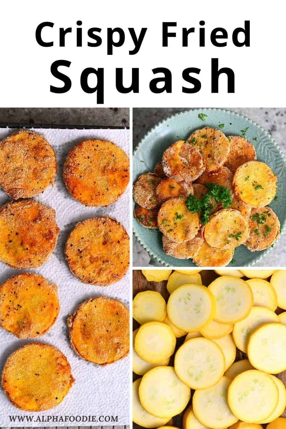 Crispy Fried Squash (or Zucchini) - Alphafoodie