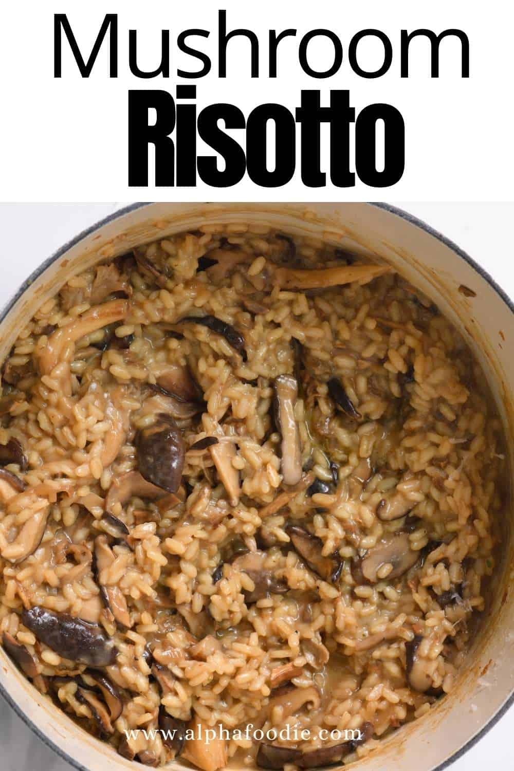 Perfect Wild Mushroom Risotto - Alphafoodie